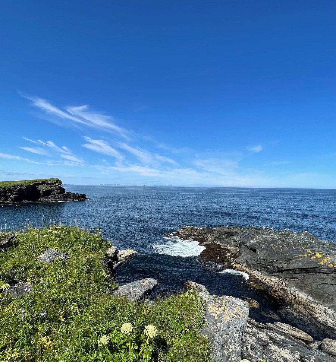 5 Items on Afognak Island for Your Alaska Bucket List - Afognak ...