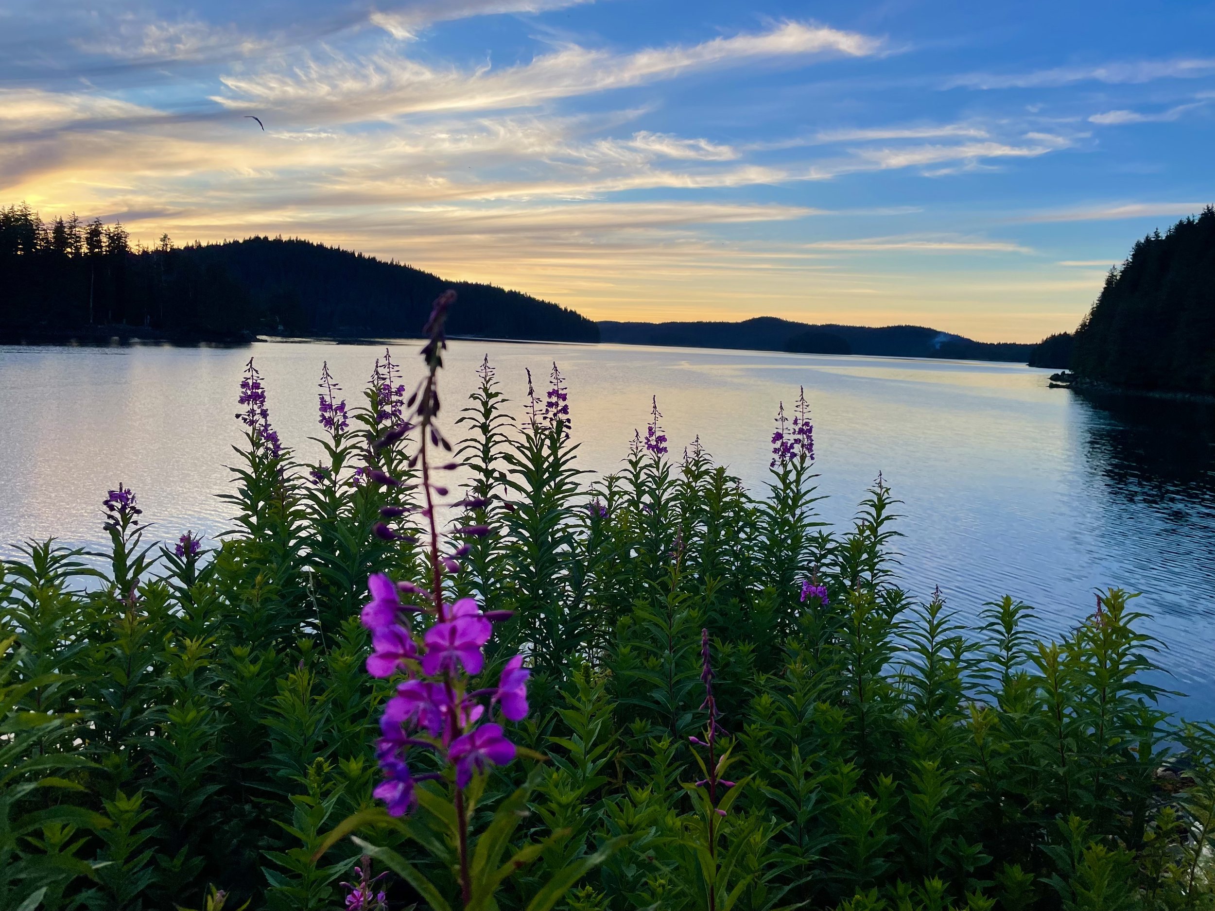 What to Expect from Your Alaska Lodge Vacation — Afognak Wilderness Lodge