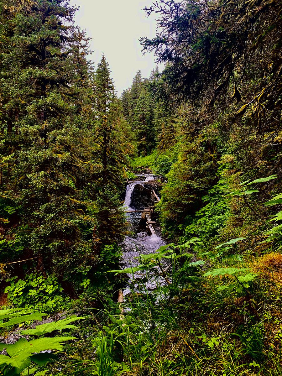 How to go About Planning a Trip to Alaska — Afognak Wilderness Lodge