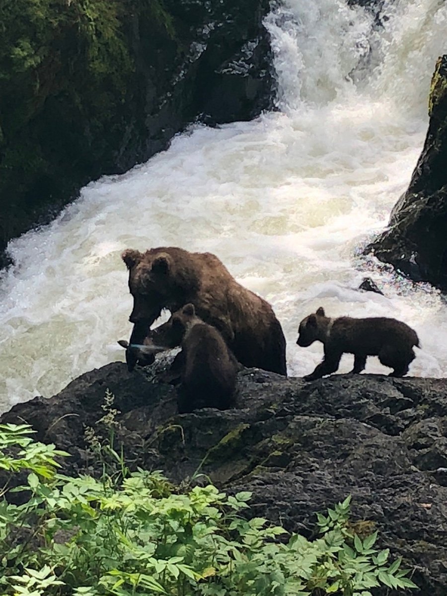 Visiting Alaska for the First Time — Afognak Wilderness Lodge