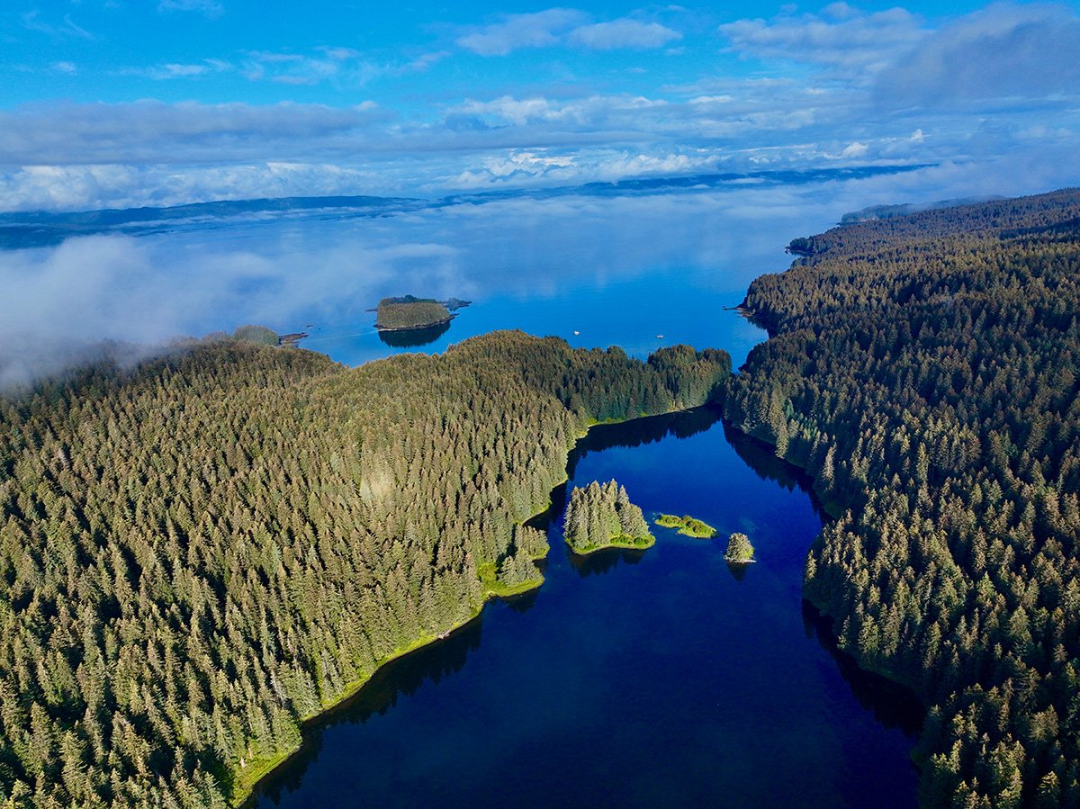 The Top 5 Reasons to Visit Alaska in August - Afognak Wilderness Lodge